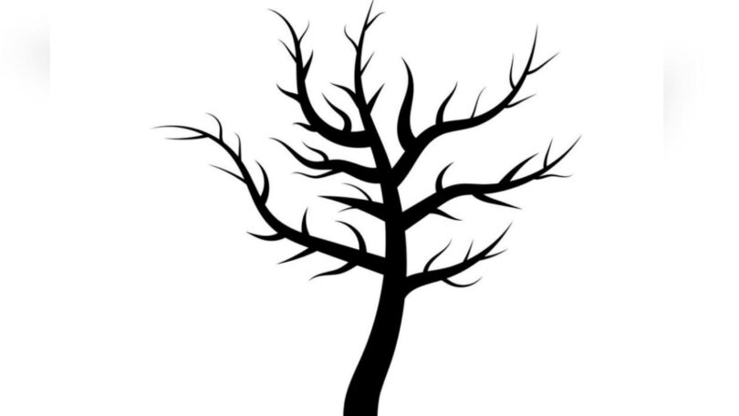 Selon vous, que manque-t-il à cet arbre ? Le test de personnalité vous ...